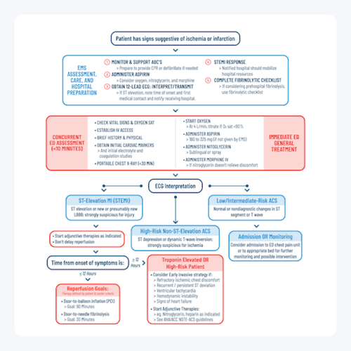 ACLS Algorithm 2024 | ACLS Flowchart | ProMed Certifications